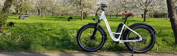 The top 8 best step thru bike in the market | CITI ESCOOTER