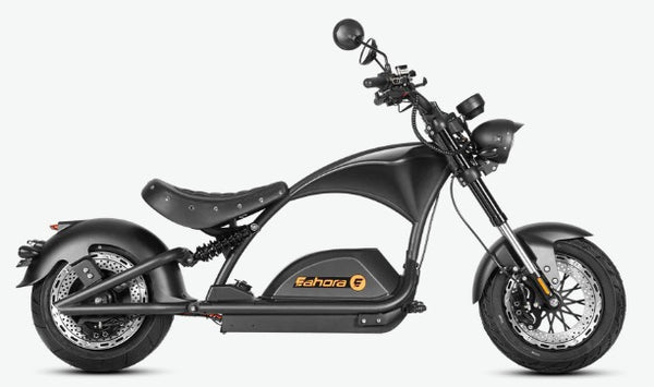 Eahora Knight M1PS Charger | CITI ESCOOTER