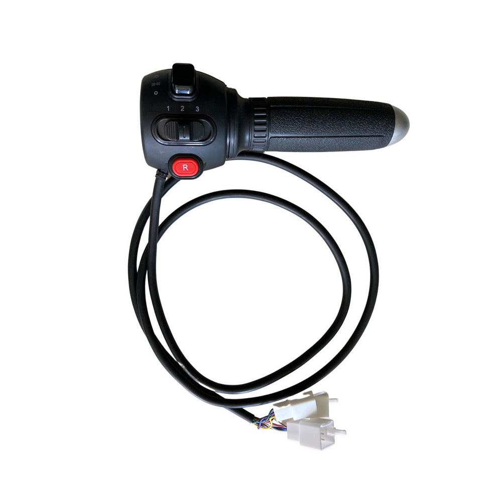 Shansu Three Wheeler Electric Scooter Speedometer | CITI ESCOOTER